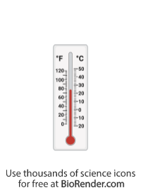 Free Thermometer (adjustable) Icons, Symbols & Images | BioRender