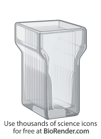 Free Coplin staining jar (with slides) Icons, Symbols & Images | BioRender