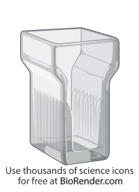 Free Coplin staining jar Icons, Symbols & Images | BioRender