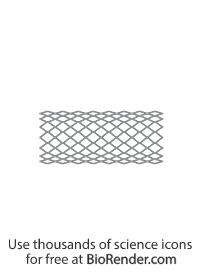 Free Angioplasty (stent, open) Icons, Symbols & Images | BioRender