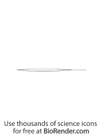 Free Angioplasty (balloon, deflated) Icons, Symbols & Images | BioRender