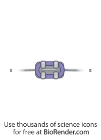 Free Dental braces (bracket) Icons, Symbols & Images | BioRender