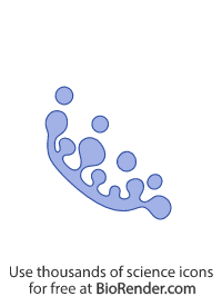 Free Trans-Golgi network / early endosome (2D) Icons, Symbols & Images | BioRender