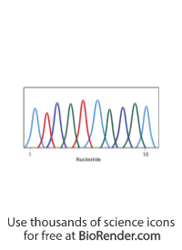 Free DNA sequencing graph Icons, Symbols & Images | BioRender