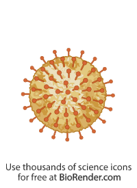 Free Epstein-Barr virus (3D) Icons, Symbols & Images | BioRender