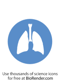 Free Lungs (on circle) Icons, Symbols & Images | BioRender