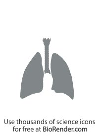Free Lungs icon Icons, Symbols & Images | BioRender