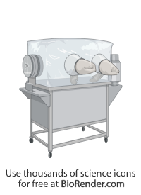 Free Germ-free breeder isolator Icons, Symbols & Images | BioRender