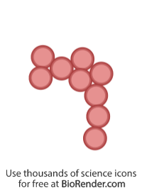 Free Protein particulate (cluster) Icons, Symbols & Images | BioRender