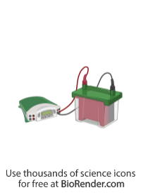 Free Western blotting equipment (with power) Icons, Symbols & Images ...