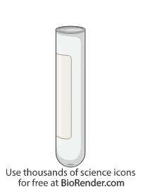 Free Blood vial (empty) Icons, Symbols & Images | BioRender