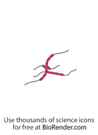 Free Tau protein tangle Icons, Symbols & Images | BioRender