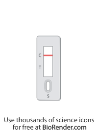 Free Lateral flow test (negative) Icons, Symbols & Images | BioRender