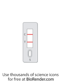 Free Lateral flow test (positive) Icons, Symbols & Images | BioRender