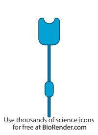 Free EGFR (monomer) Icons, Symbols & Images | BioRender