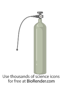 Free Compressed gas tank Icons, Symbols & Images | BioRender