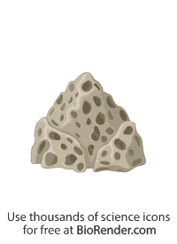 Free Fungus for ant colony Icons, Symbols & Images | BioRender