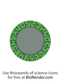 Free Nanoparticles Icons, Symbols & Images | BioRender