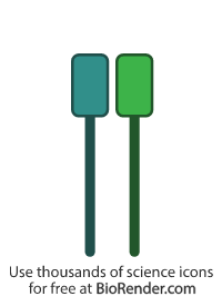 Free CD3ε-CD3δ Icons, Symbols & Images | BioRender