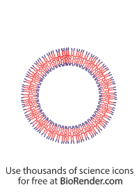 Free Polymersome Icons, Symbols & Images | BioRender