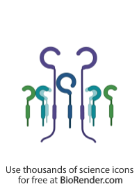 Free GPIb-IX-V complex 2 Icons, Symbols & Images | BioRender