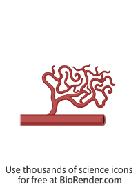 Free Vessel growth (abnormal) Icons, Symbols & Images | BioRender