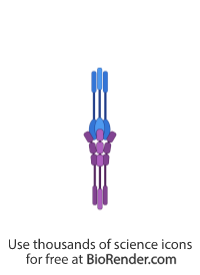 Free TNF-TNFR complex Icons, Symbols & Images | BioRender