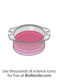 Free Cell culture insert Icons, Symbols & Images | BioRender