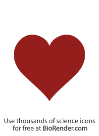 Free Heart (symbol) Icons, Symbols & Images | BioRender