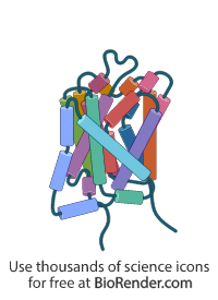 Free GABA transporter Icons, Symbols & Images | BioRender