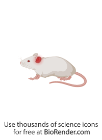 Free Mouse (lateral, with ear infection) Icons, Symbols & Images ...