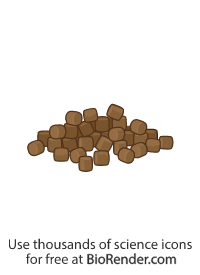 Free Fish feed (pellets) Icons, Symbols & Images | BioRender