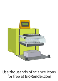 Free 96-well separator Icons, Symbols & Images | BioRender