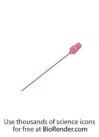 Free Peripheral venous catheter (stylet) Icons, Symbols & Images ...