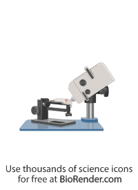 Free Retinal imaging microscope (Micron IV, with mouse) Icons, Symbols ...