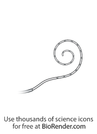 Free Cochlear implant (electrode array) Icons, Symbols & Images | BioRender