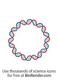 Free DNA (circular, small) Icons, Symbols & Images | BioRender