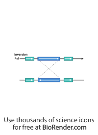 Free Genome structural variation (inversion) Icons, Symbols & Images ...