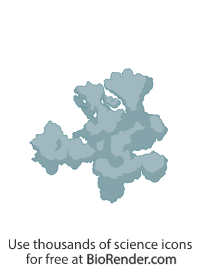 Free Spliceosome Icons, Symbols & Images | BioRender