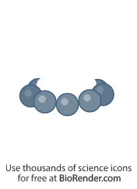 Free Kinetochore (DASH complex) Icons, Symbols & Images | BioRender