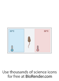 Free Mouse (temperature preference test) Icons, Symbols & Images ...