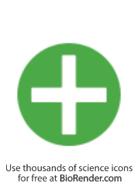 Free Plus sign (editable) Icons, Symbols & Images | BioRender