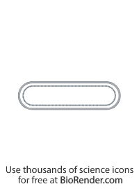 Free Viral envelope (filamentous, with matrix) Icons, Symbols & Images ...