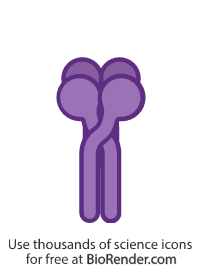Free RSV (fusion protein) Icons, Symbols & Images | BioRender