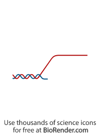 Free DNA (2D, strand invasion, left, top) Icons, Symbols & Images ...