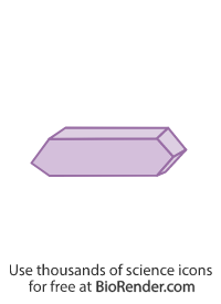 Free Otolith crystal Icons, Symbols & Images | BioRender