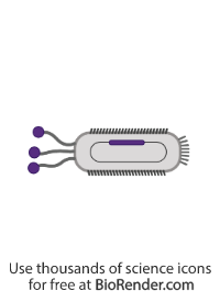 Free Phage display (circle) Icons, Symbols & Images | BioRender