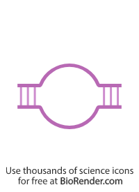 Free RNA Icons, Symbols & Images | BioRender