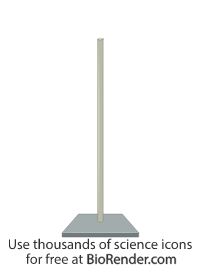 Free Mouse pole Icons, Symbols & Images | BioRender