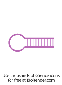 Free RNA (stem loop, small, medium) Icons, Symbols & Images | BioRender